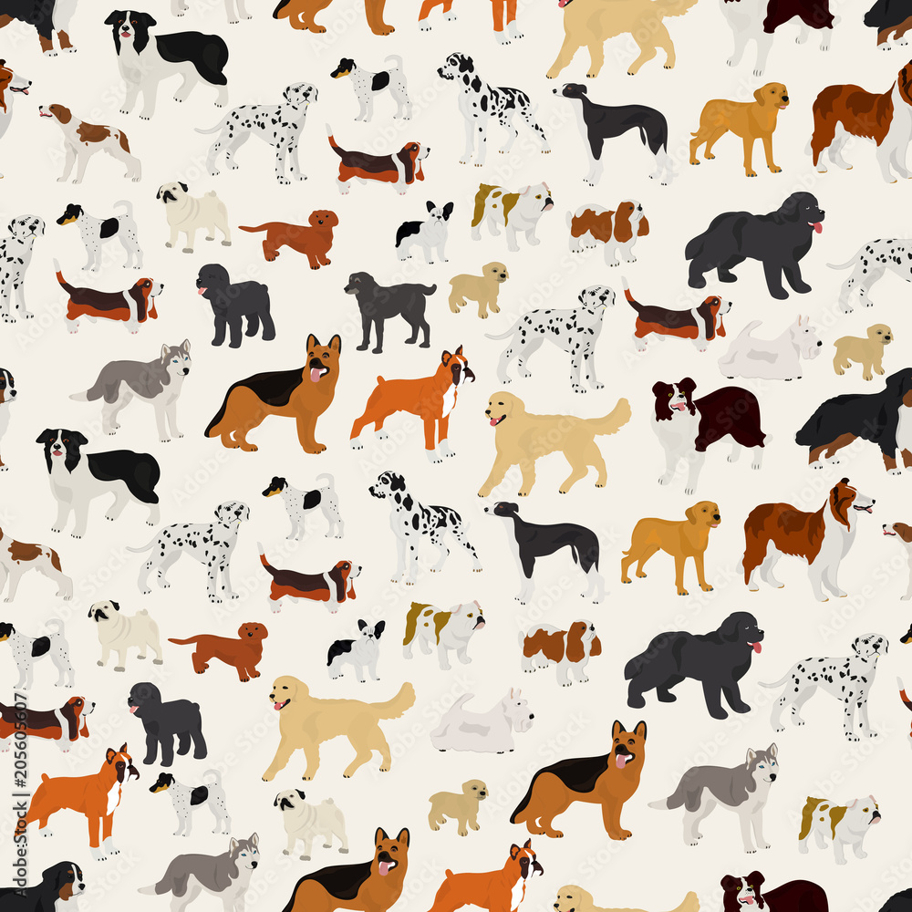 Seamless vector pattern with different breeds of dogs Stock Vector ...