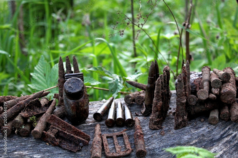 Objects of the Great Patriotic War, found in the ground, in the forest ...
