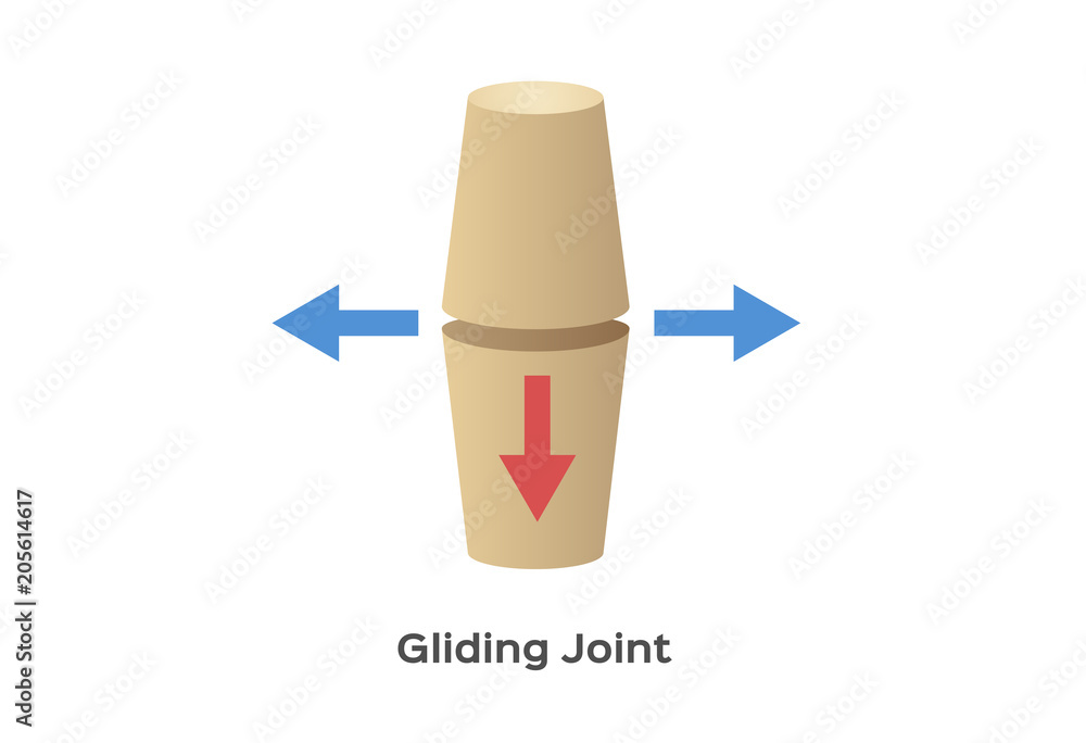 joint type vector Stock Vector | Adobe Stock