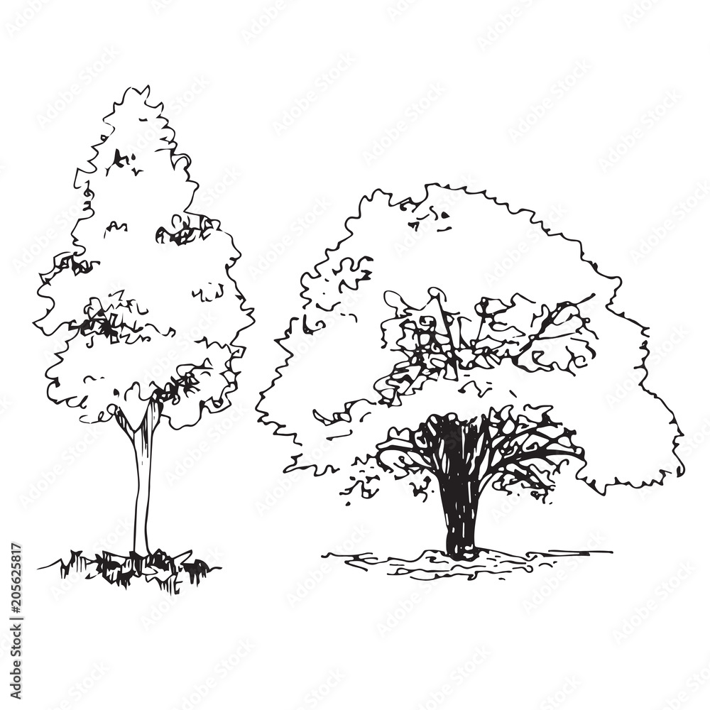 Set of hand drawn architect trees, sketch tree silhouette Stock Vector ... Set of hand drawn architect trees, sketch tree silhouette Stock Vector ...