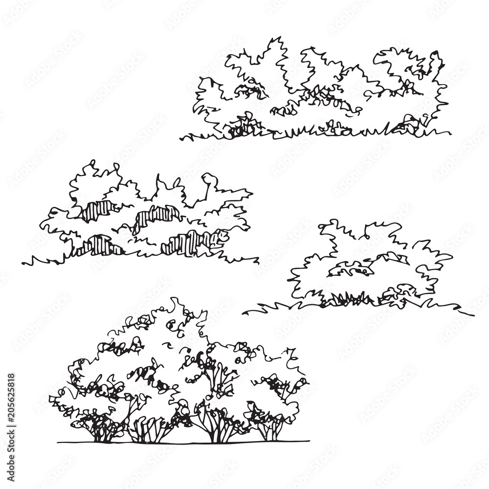 Set of hand drawn architect bushes Stock Vector | Adobe Stock