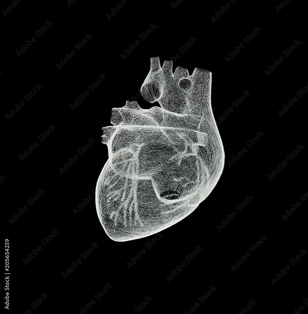 Mesh model of a human heart isolated on black background Stock ...