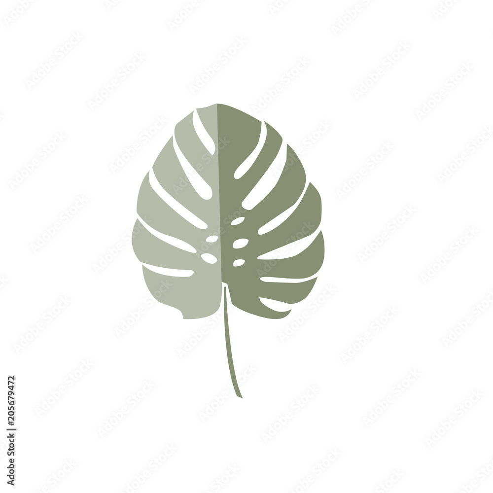 Green Leaf Silhouette