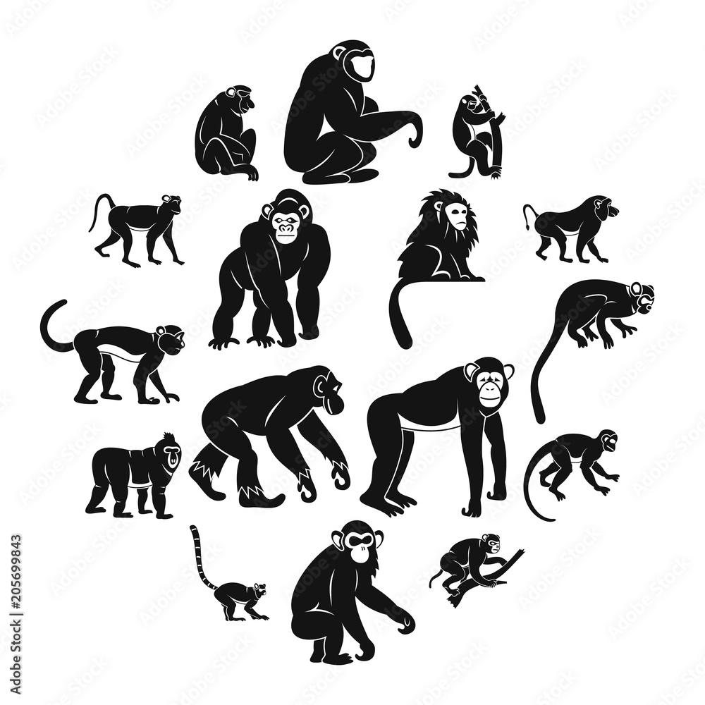 Monkey types icons set. Simple illustration of 16 monkey types vector ...