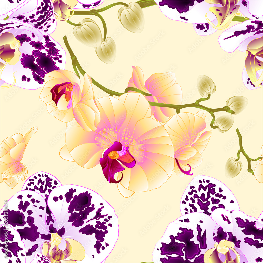 Seamless texture orchids yellow and spotted Phalaenopsis stems with ...