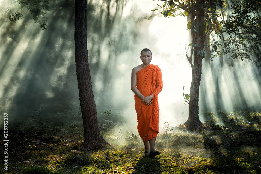 Buddhist Monk Walking for Receive Food in the morning at the forest ...
