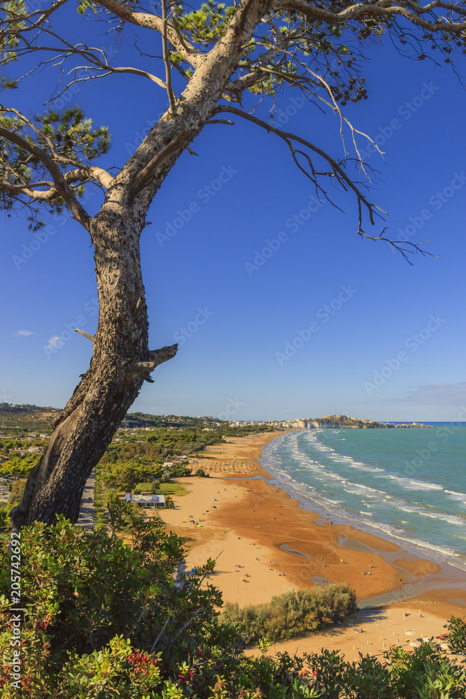 Summertime relax.The most beautiful coasts of Italy: bay of Vieste ...