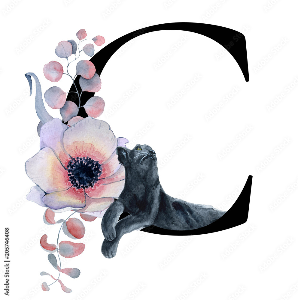Monogram C Design