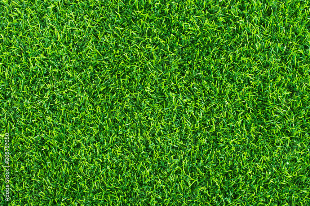 Green lawn for background. Green grass texture background. top view ...