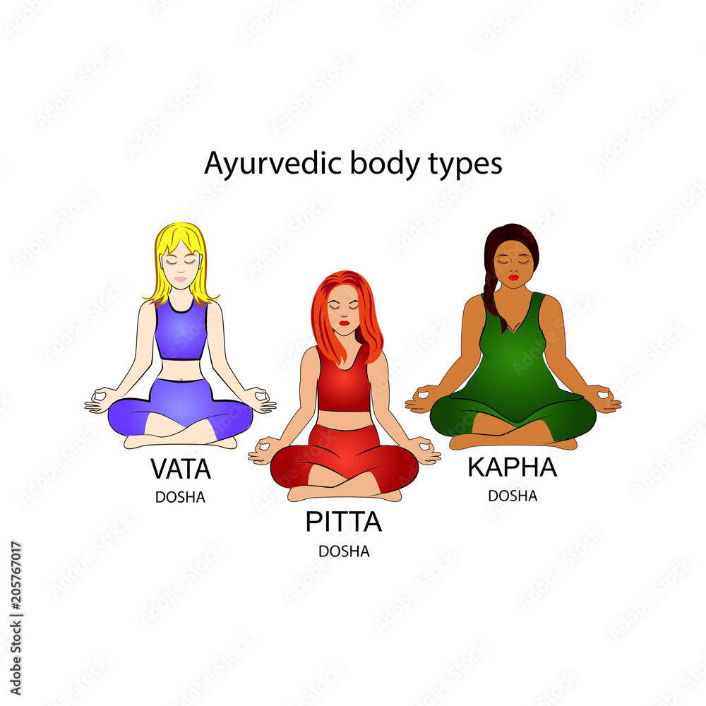 Ayurvedic body types. Vector illustration. Stock Vector | Adobe Stock