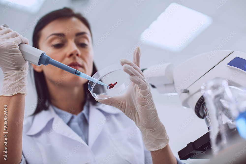 Blood test. Concentrated smart scientist conducting a blood test and ...