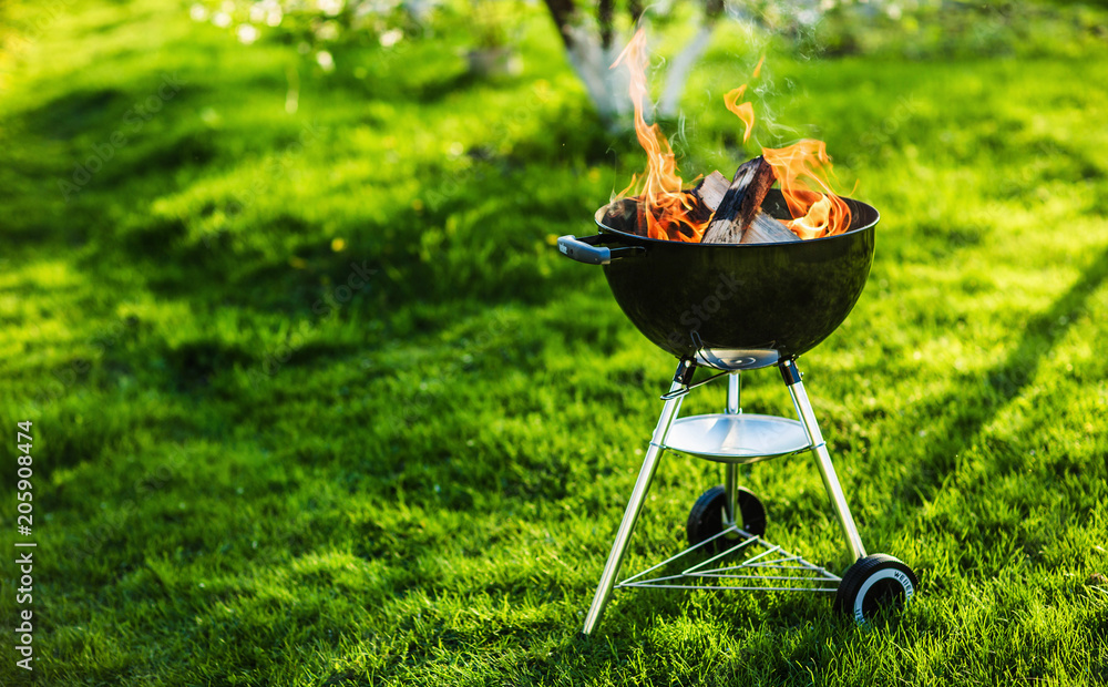 Barbecue Grill with Fire on Nature Stock Photo | Adobe Stock