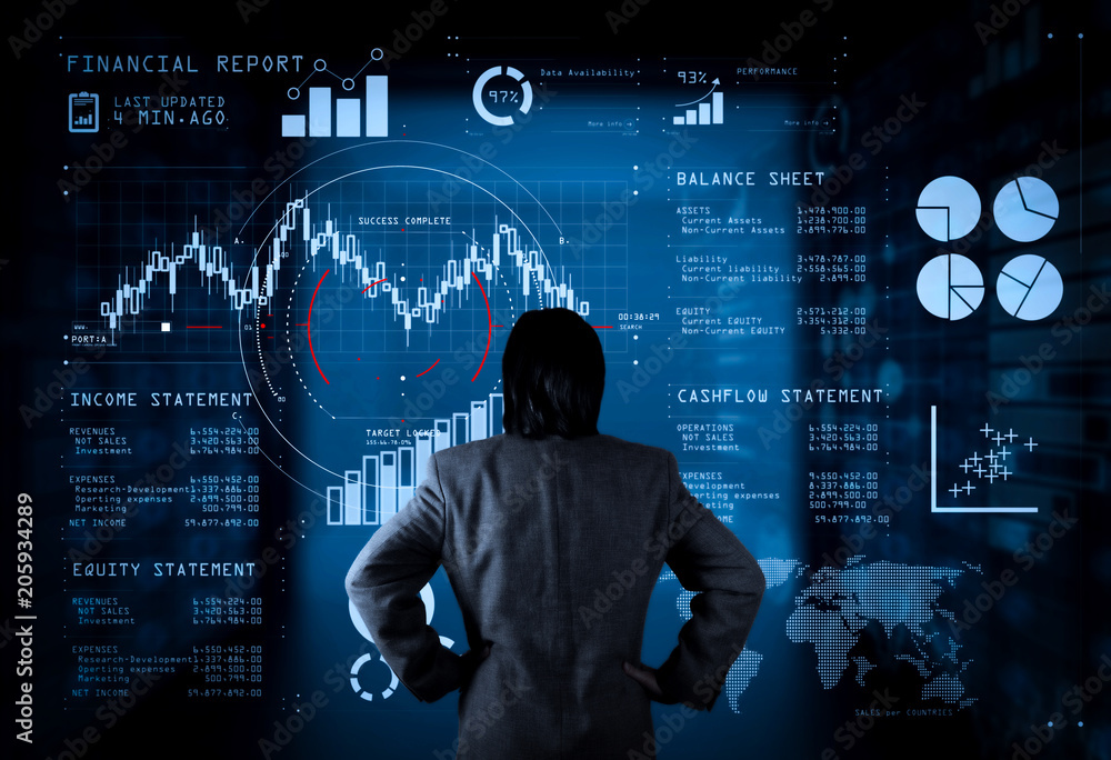 Financial report data of business operations (balance sheet and income ...