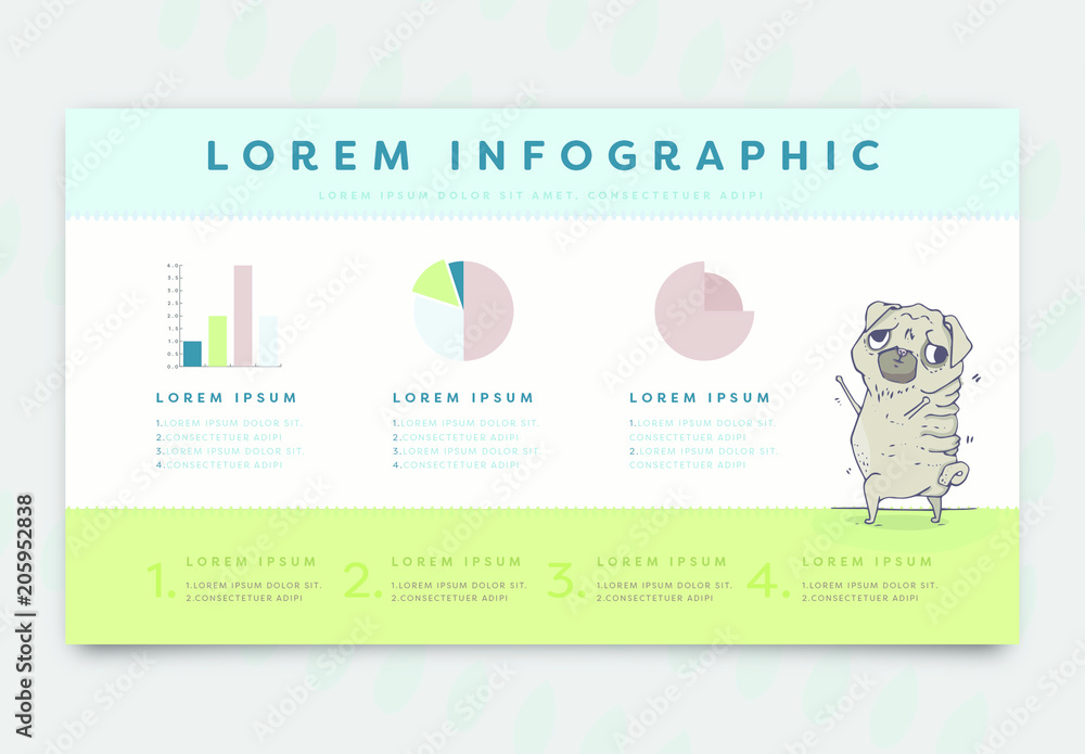 Dog Infographic Layout Stock Template | Adobe Stock