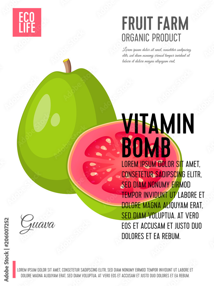 Packaging label. Concept design with inscription. Guava, whole fruit ...