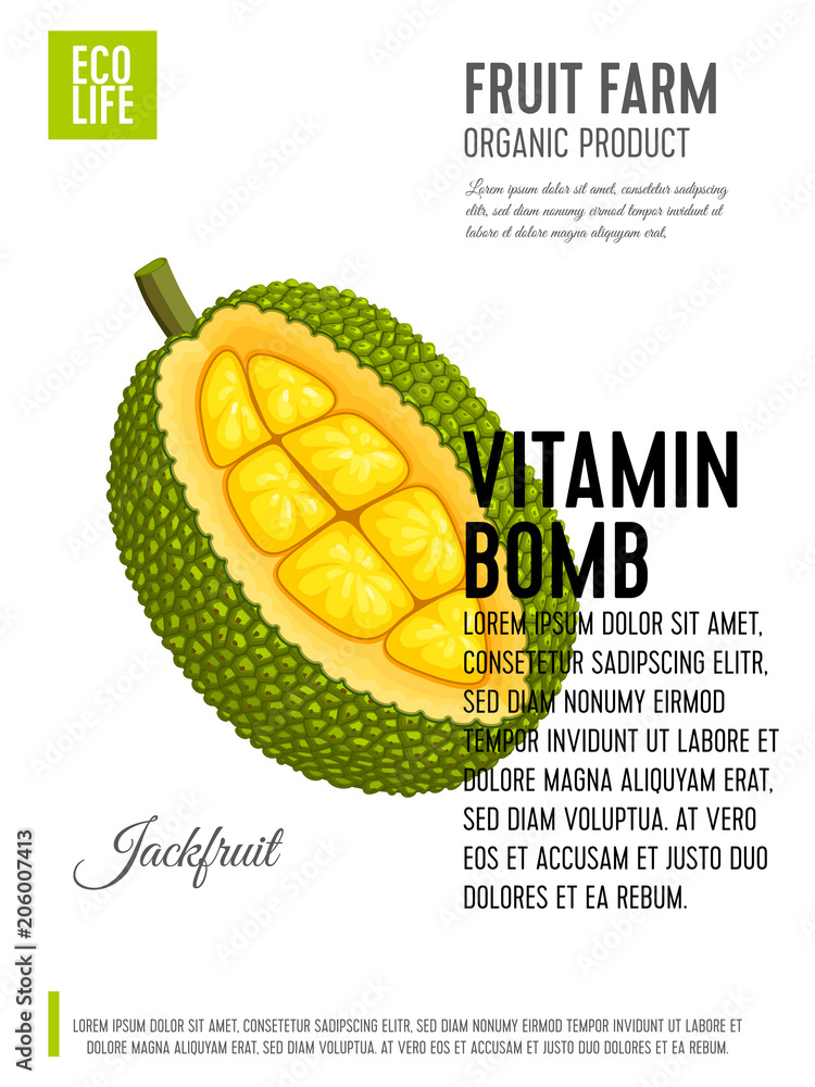 Packaging label. Concept design with inscription. Jackfruit. Vector ...