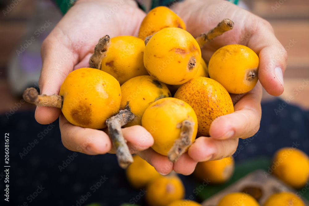 Georgia Sweet Orange Tree