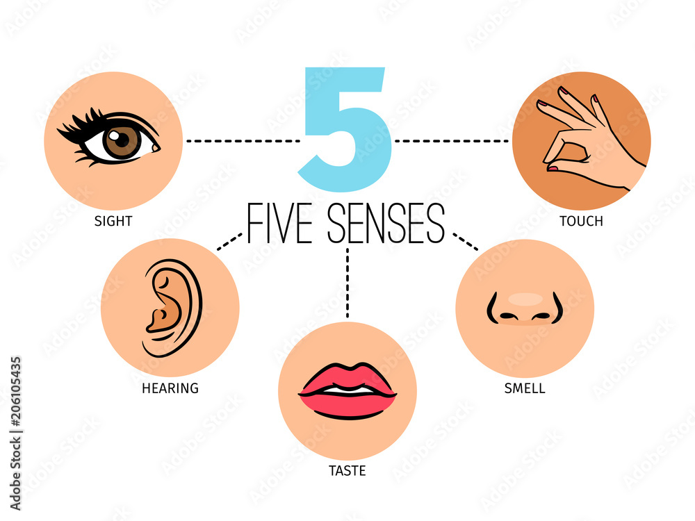Five human feelings. Mouth or lips, hand and nose, eye and ear icons ...
