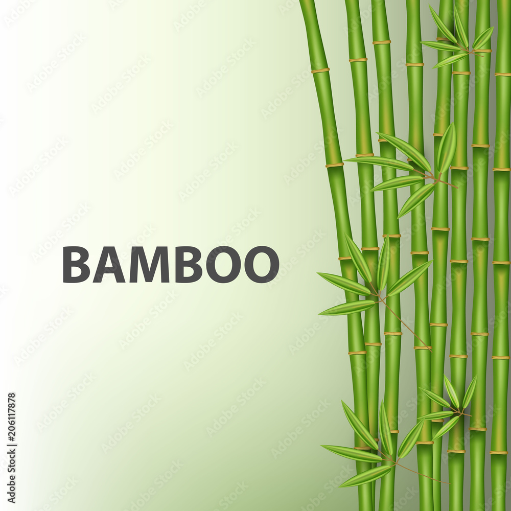 Bamboo Book Design