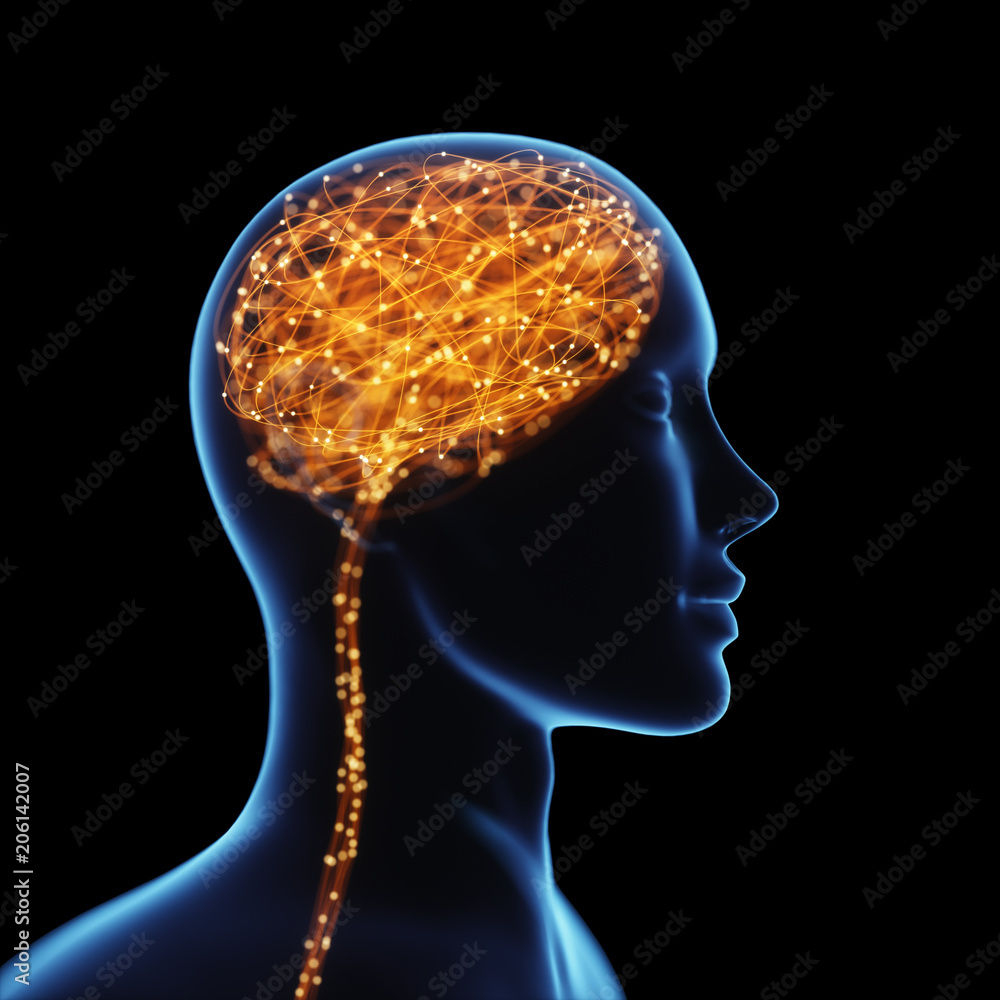 X-ray of the head and human brain in concept of neural connections and ...