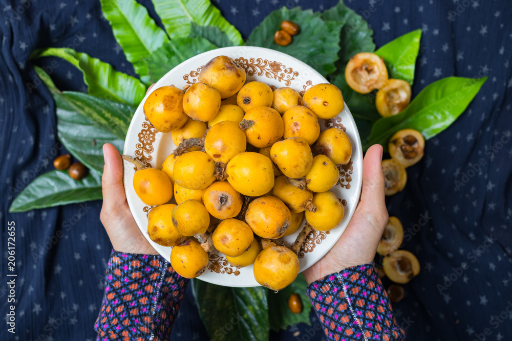 Georgia Sweet Orange Tree