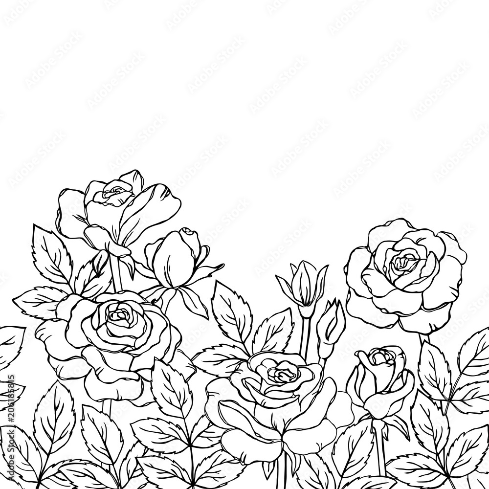 Rose Garden Coloring Pages