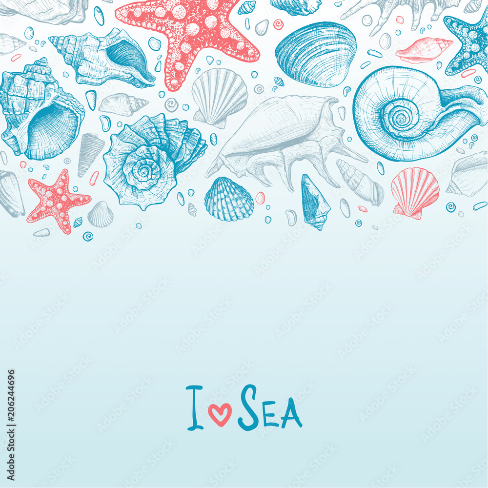 Hand-drawn background in sketch-style with shells of different shapes ...