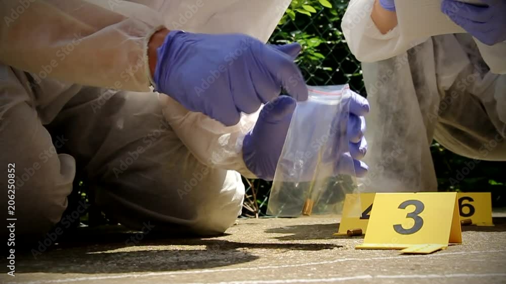 Forensic experts team collect evidence at the crime scene. Forensic ...