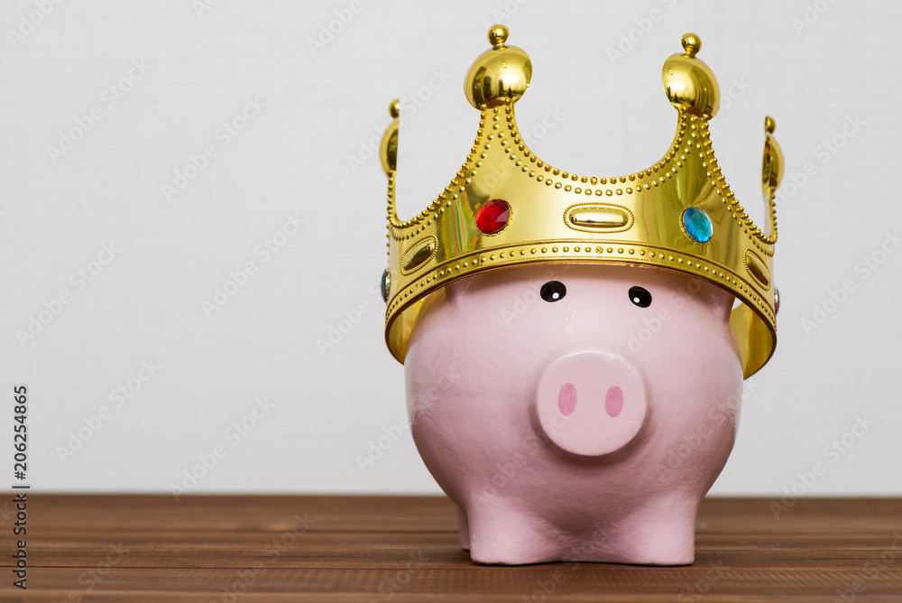 Financial winner or king of money savings concept, smiling happy pink ...