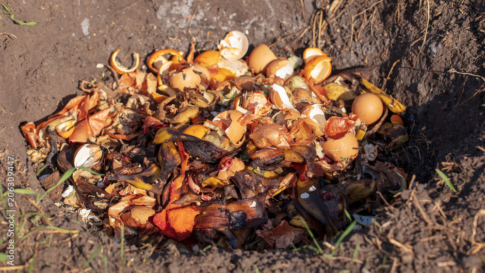 Garbage food waste in a ground pit in nature Stock Photo | Adobe Stock