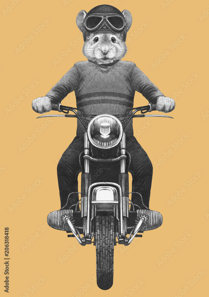 The Mouse And The Motorcycle Illustrations