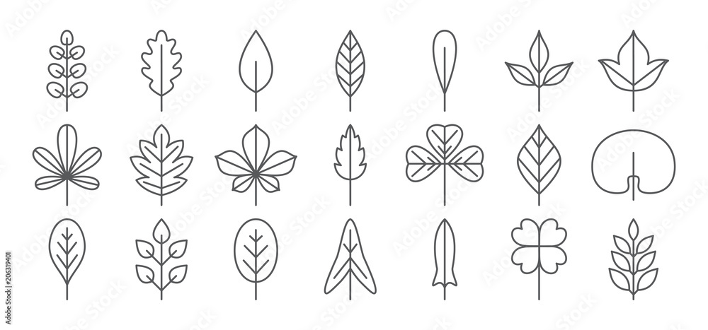 Leaf line icon. Foliage thin simple outline. Contour vector collection ...