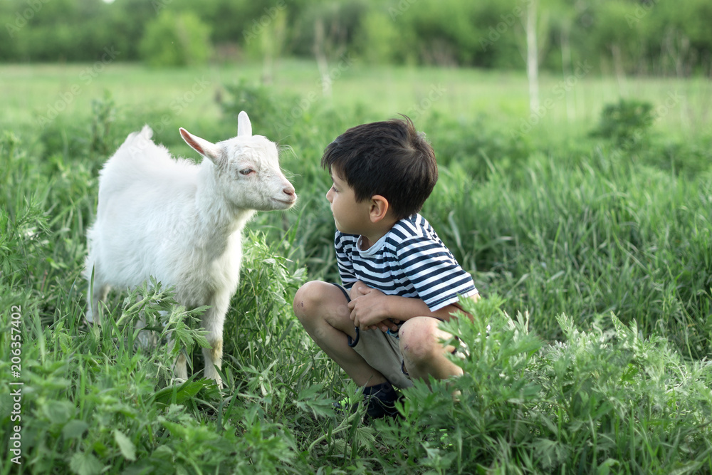 A boy is standing with a goat on the field on a sunny day. Stock Photo ...