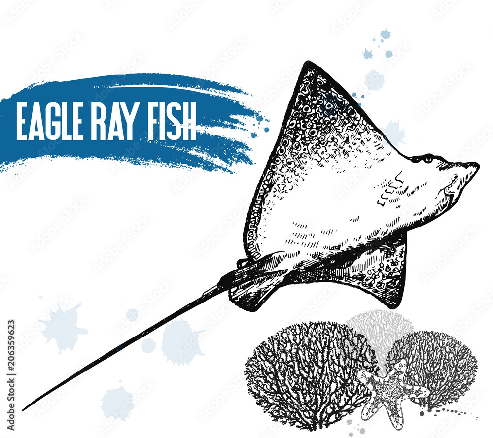 Hand drawn sketch style eagle ray isolated on white background. Vector ...