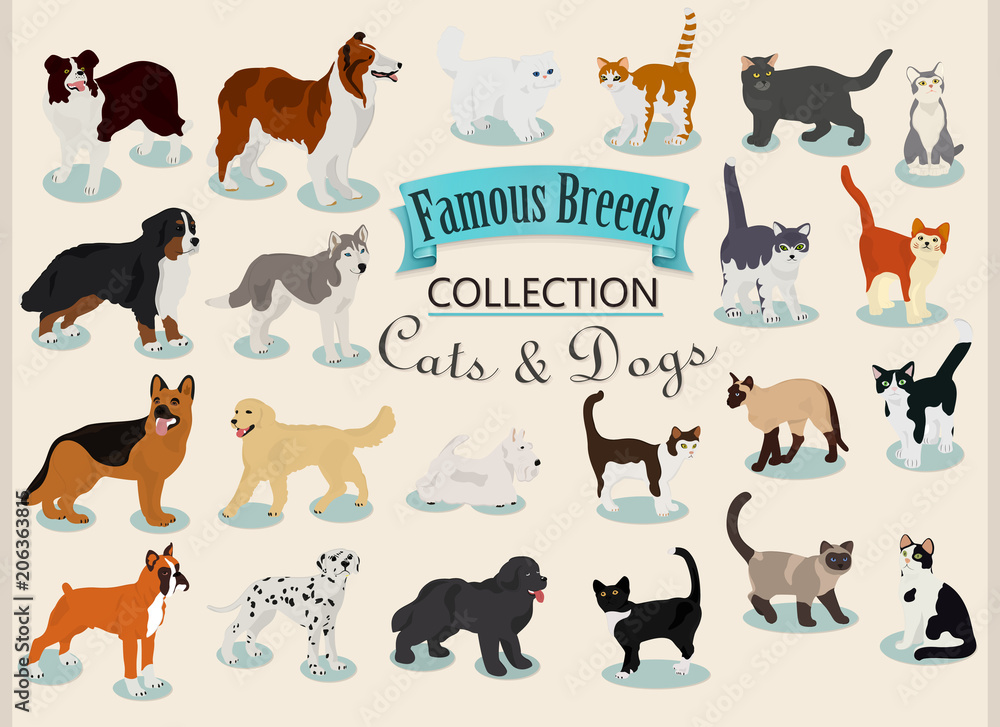 Vector set of different breeds of dogs and cats on a light background ...