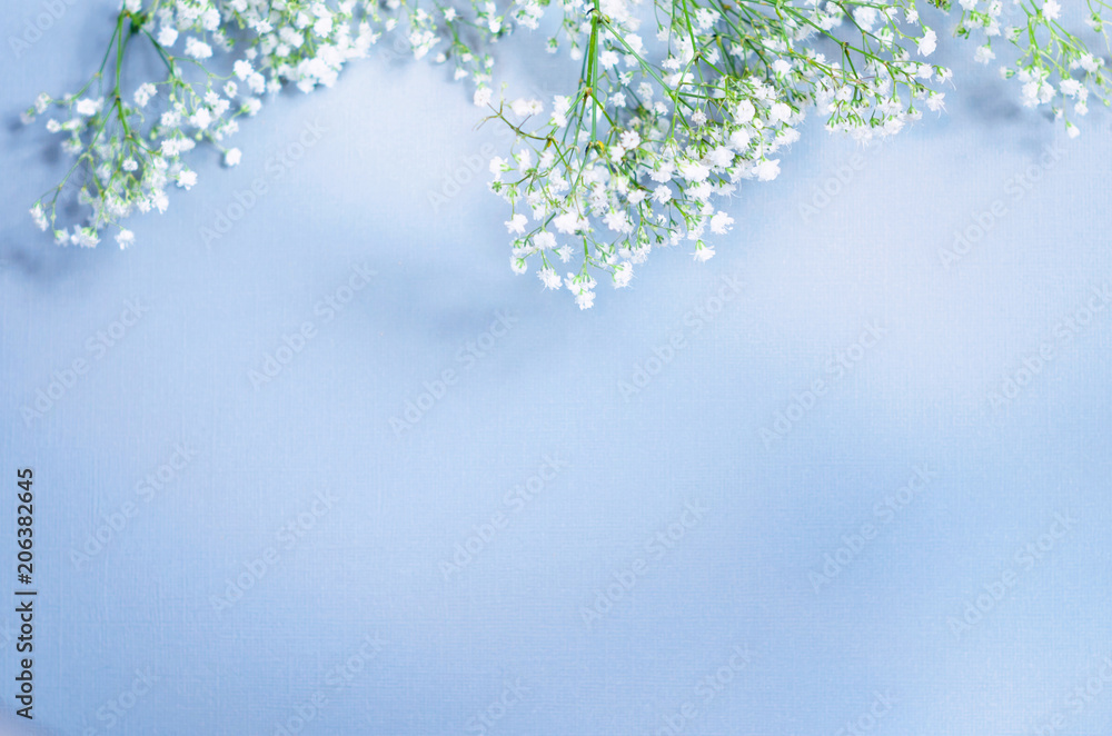 Floral composition with light, airy masses of small white flowers on ...