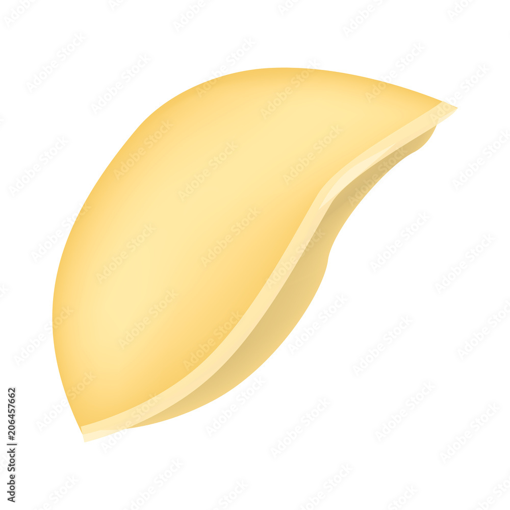 Shells pasta mockup. Realistic illustration of shells pasta vector ...