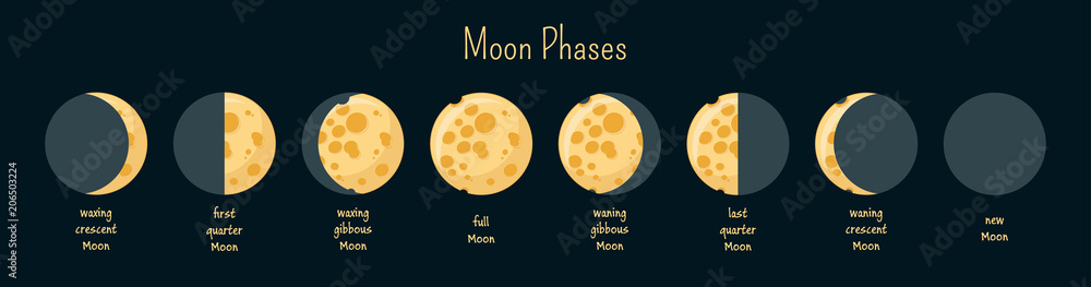 Moon phases infographics. Stock Vector | Adobe Stock