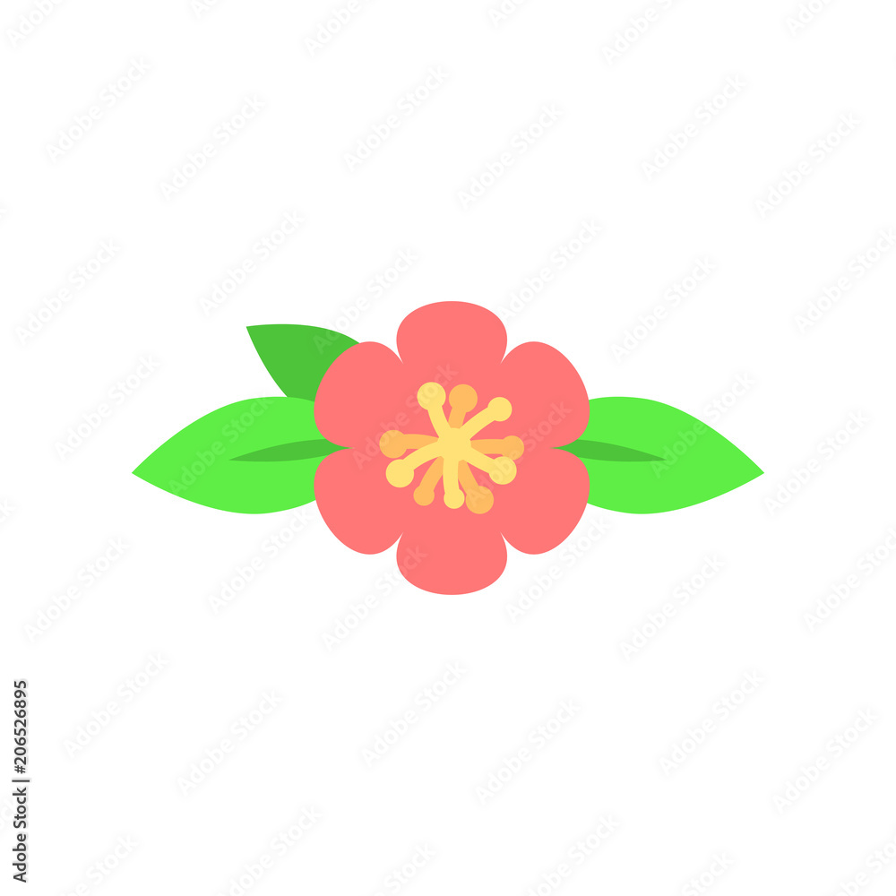 Floral text divider. Flowers and leaves. Bouquet design for wedding ...