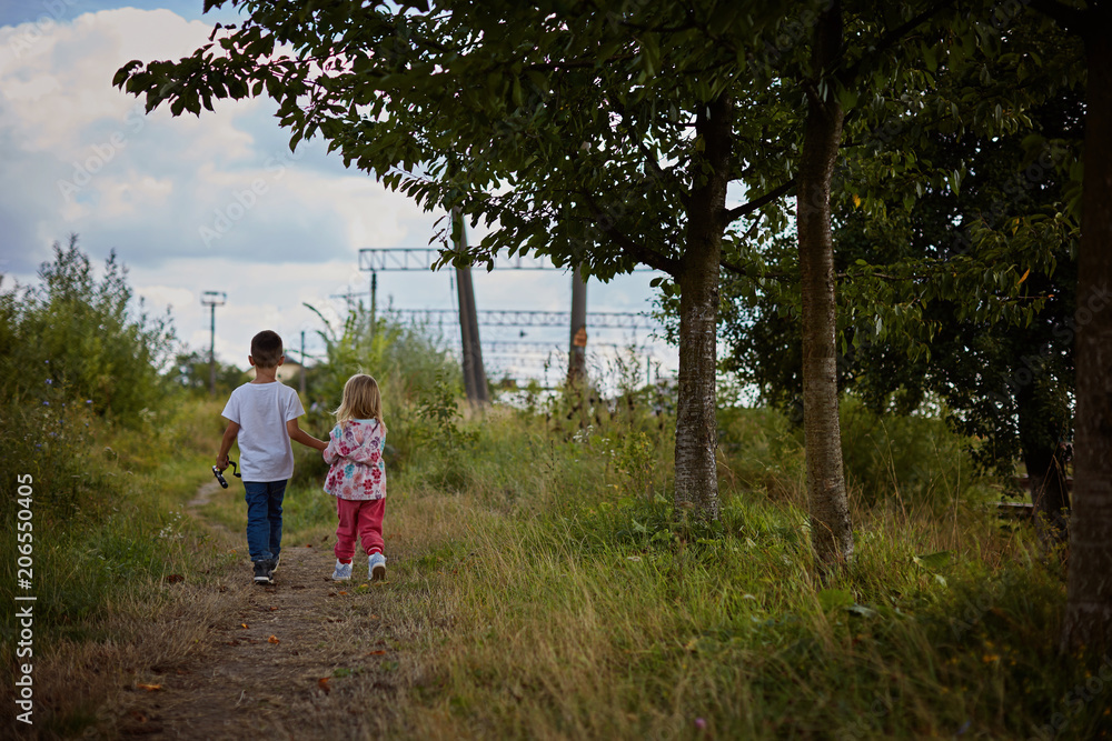 children walk on a forest road. two brothers holding hands on a walk ...