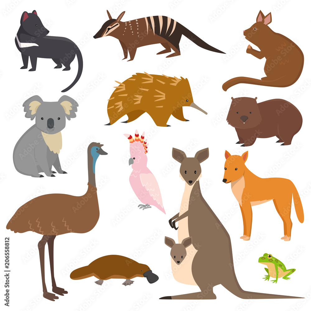 Australian wild vector animals cartoon collection australia popular ...