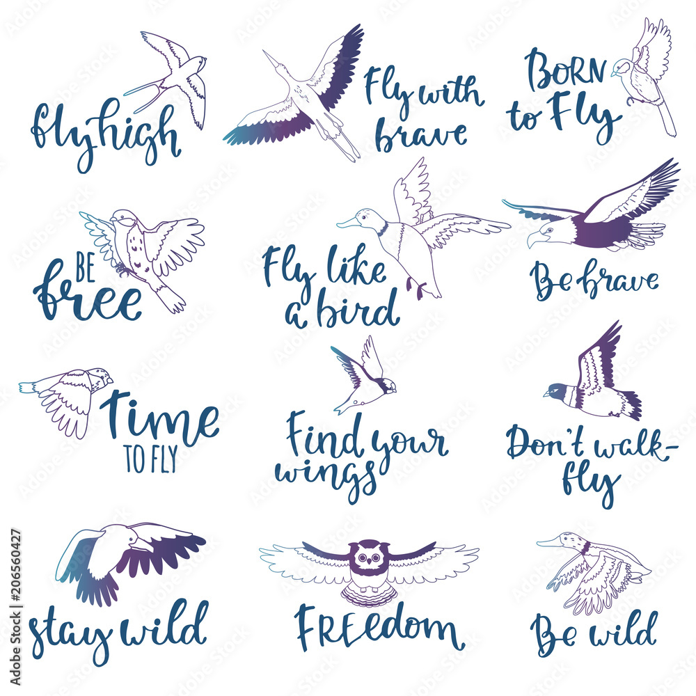 Bird lettering vector text fly high and flying birdie swallow with ...