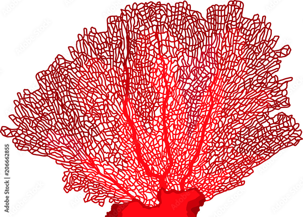 vector red tropical coral Stock Vector | Adobe Stock
