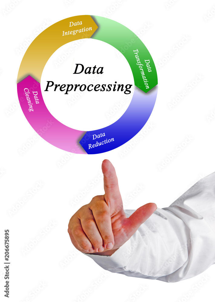 Components of Data Preprocessing. Stock Photo | Adobe Stock