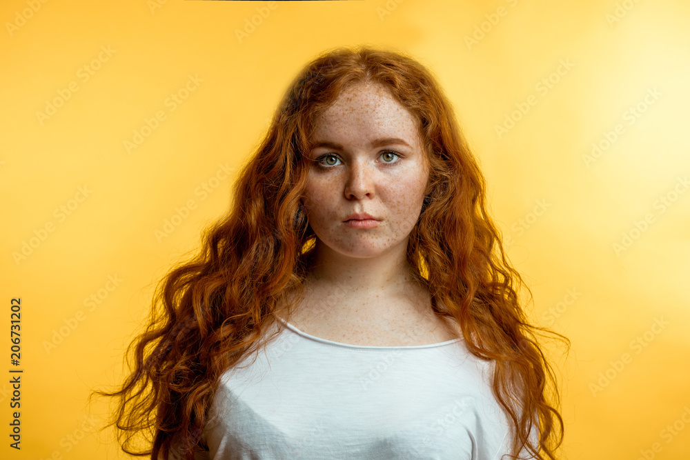 Pretty a little bit plump student girl with ginger hair and freckles ...