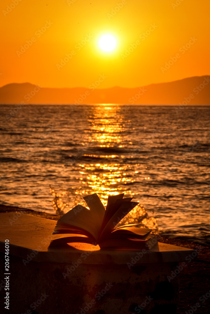 Silhouette of an open book during sunset at the beach by the sea ...