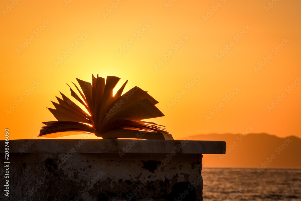 Silhouette of an open book during sunset at the beach by the sea ...