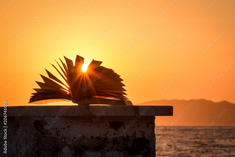 Silhouette of an open book during sunset at the beach by the sea ...