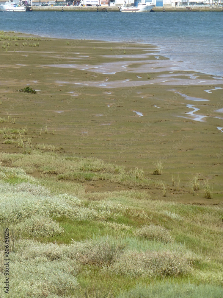 Las Marismas del Odiel, reserva y espacio natural de la biosfera por la ...