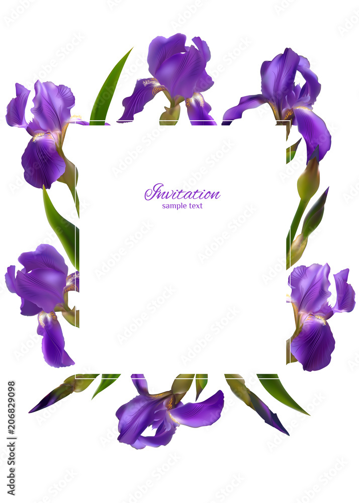 Iris. Flowers. Floral background. Border. Buds. Blue. Petals. Flower ...